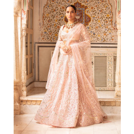 Shop Gemma Powder Pink-Based Light Gold Lehenga Set With Foliage Motifs